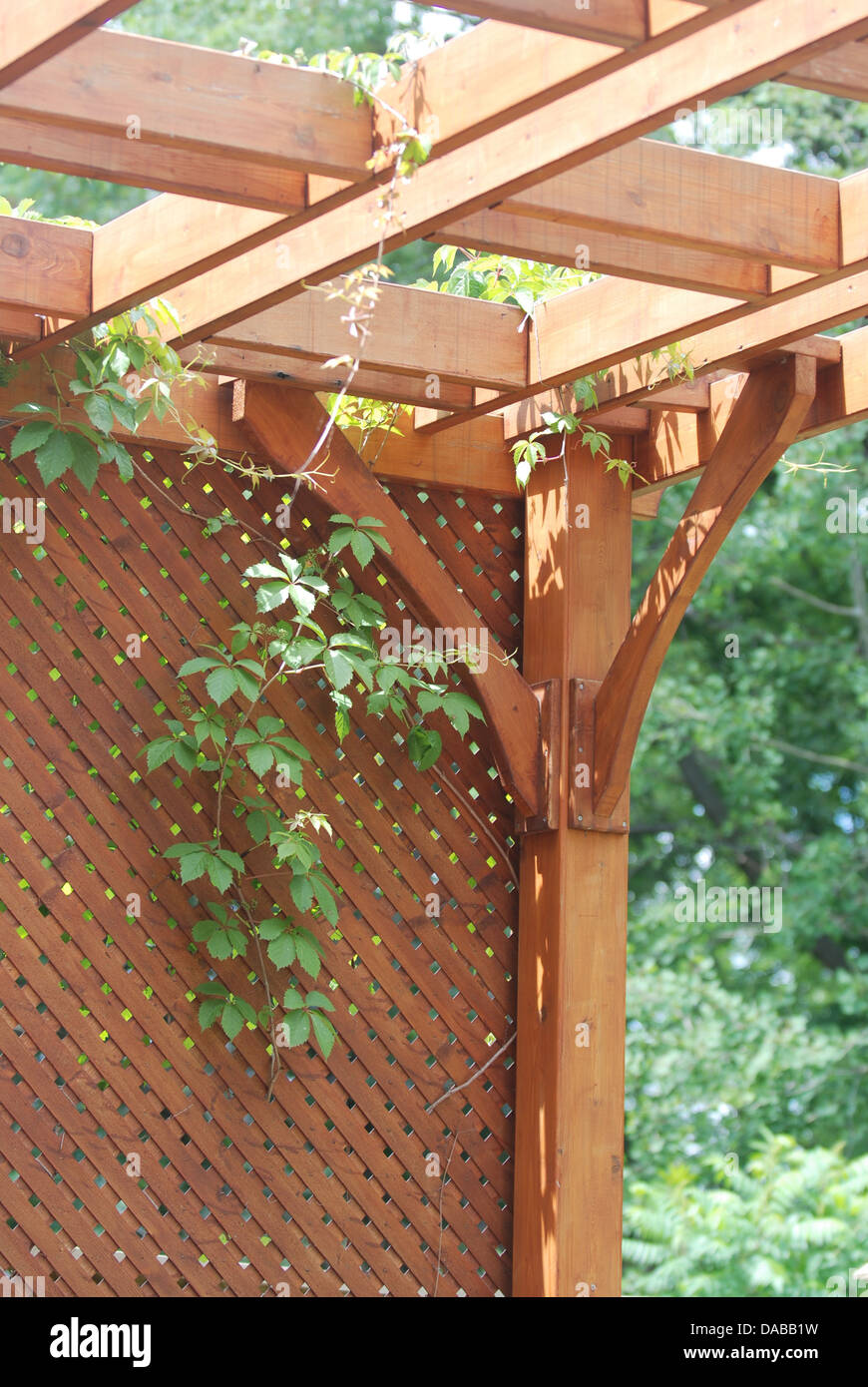 Grapevine pergola hi-res stock photography and images - Alamy