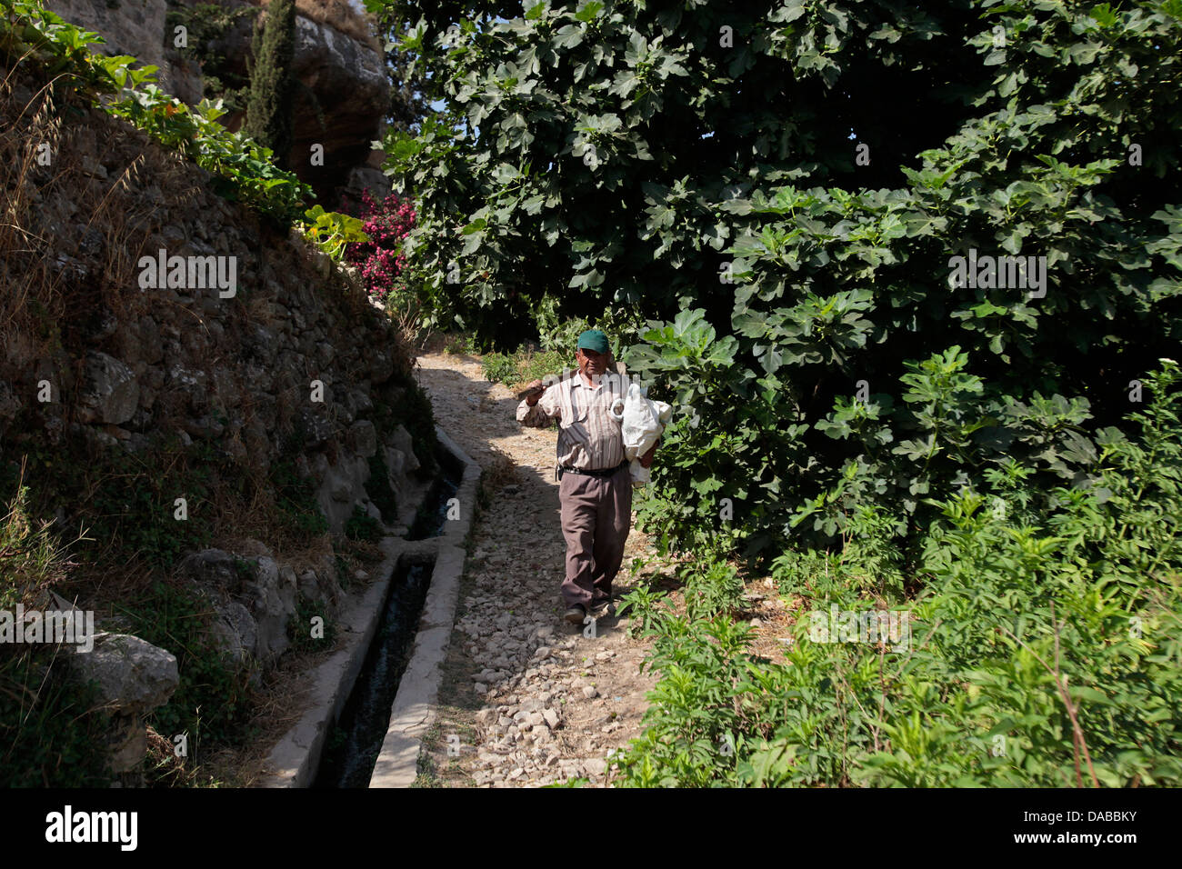 Battir terrace hi-res stock photography and images - Alamy