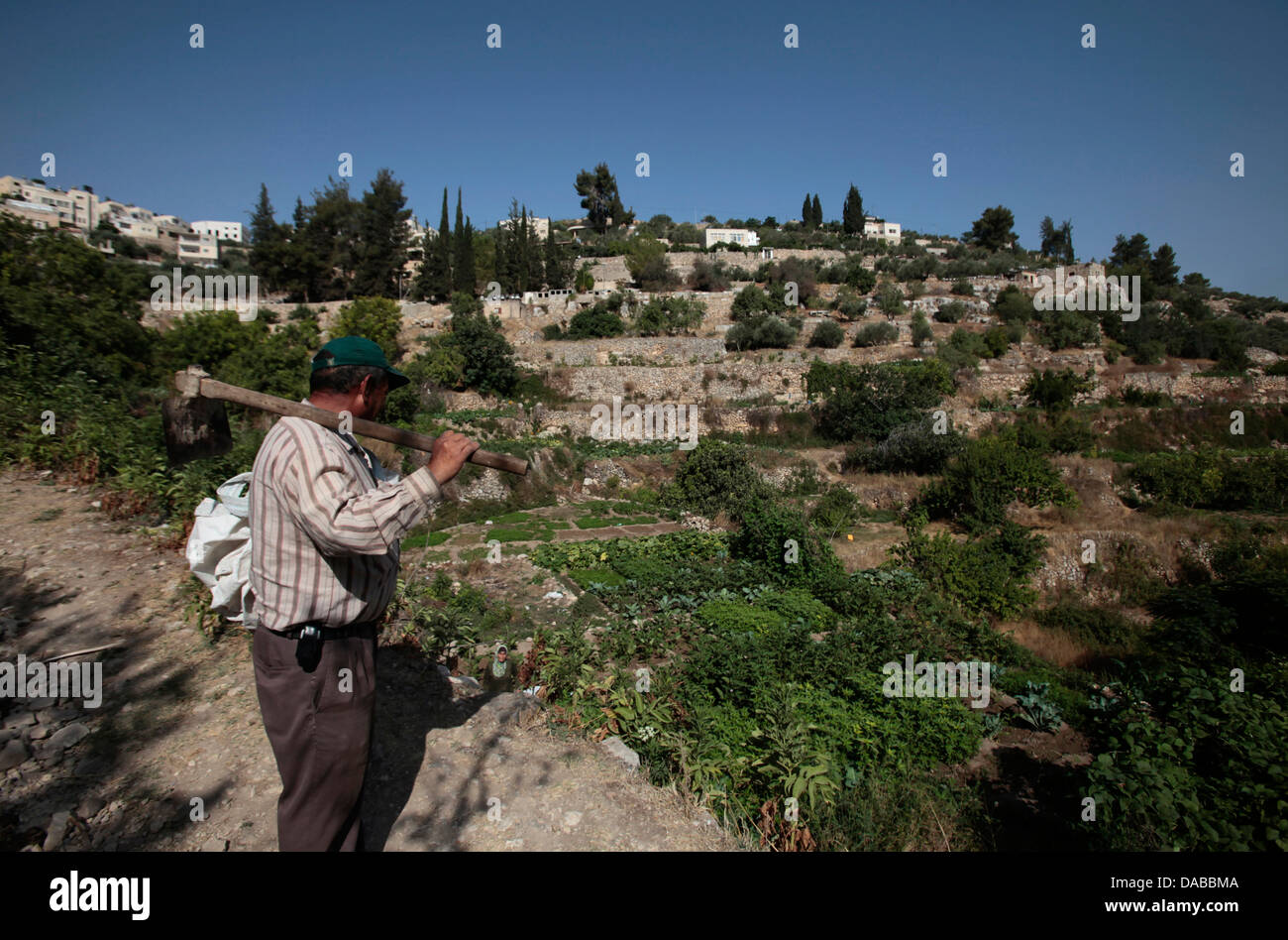Battir terrace hi-res stock photography and images - Alamy