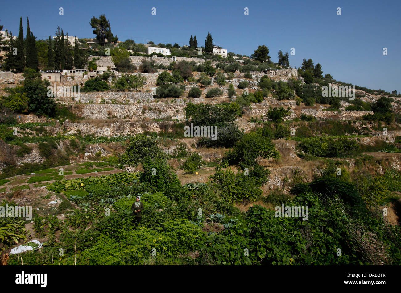 Battir west bank hi-res stock photography and images - Alamy