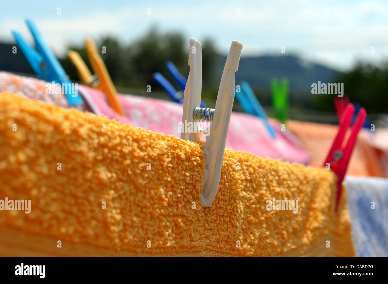 Close look on clothes peg Stock Photo - Alamy
