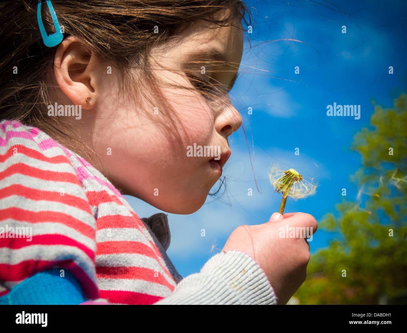 Child blowing dandelion seeds hi-res stock photography and images - Alamy