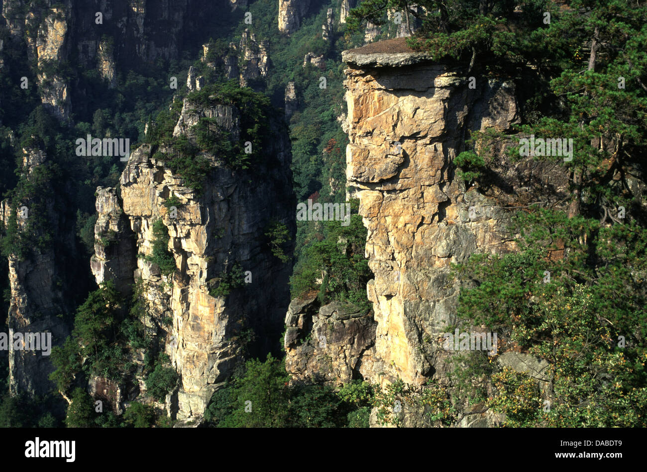 Quartzite narrow sandstone pillars and peaks at the Wulingyuan Scenic ...