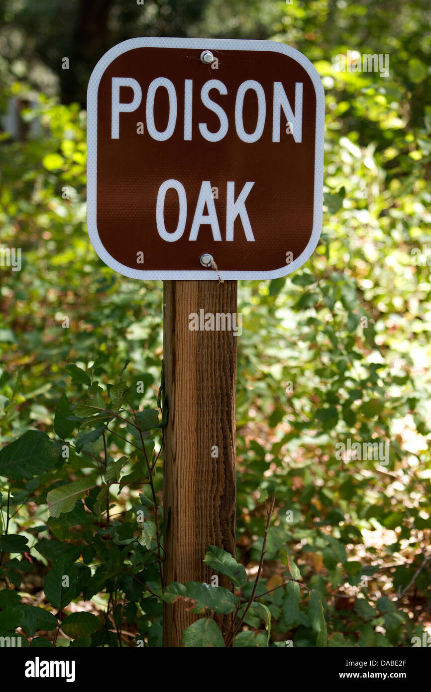 Poison Oak High Resolution Stock Photography and Images - Alamy