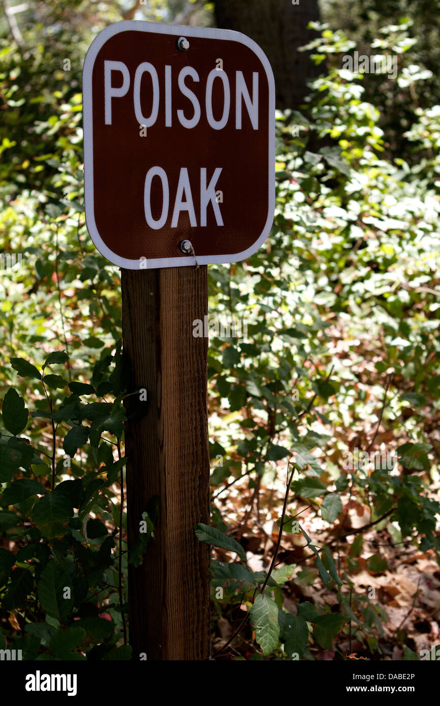 Poison Oak sign in a wooded area of a park in Southern California USA ...