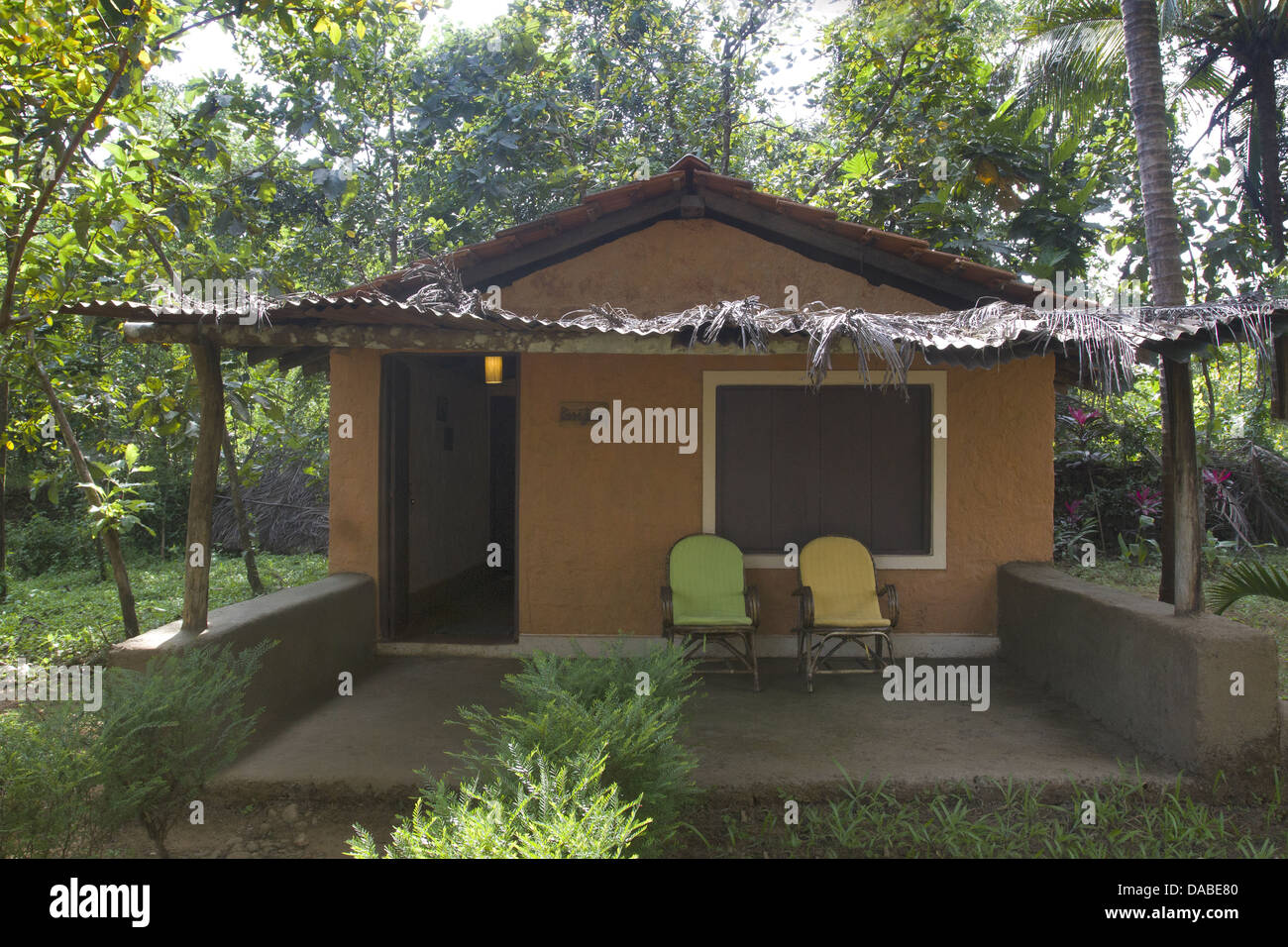 Naturenest hi-res stock photography and images - Alamy