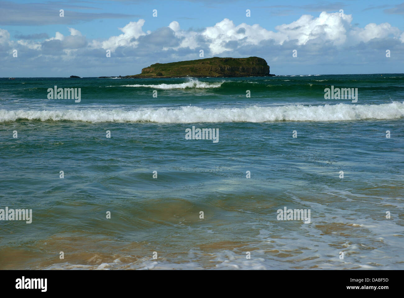 Fingal Head and Cook Island, New South Wales, Australia Stock Photo - Alamy
