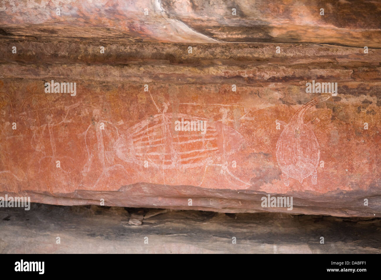 Aboriginal first nations indigenous paintings and art at Ubirr in kakadu national park, Northern ...