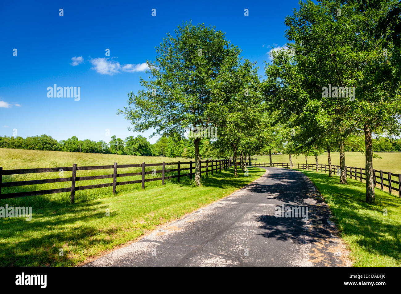 Beautiful road country road hi-res stock photography and images - Alamy
