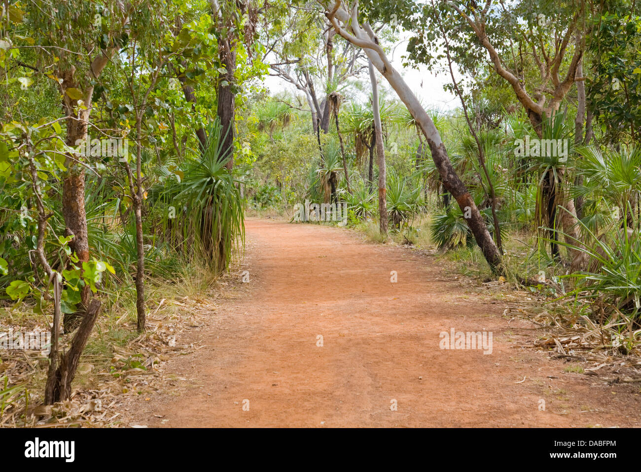 Walking track to Ubirr art site kakadu national park, Northern ...