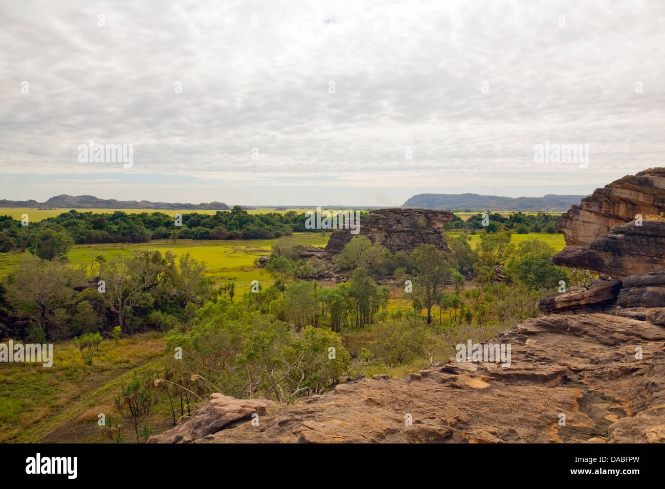 nadab floodplain in kakadu national park,northern territory,australia Stock Photo - Alamy