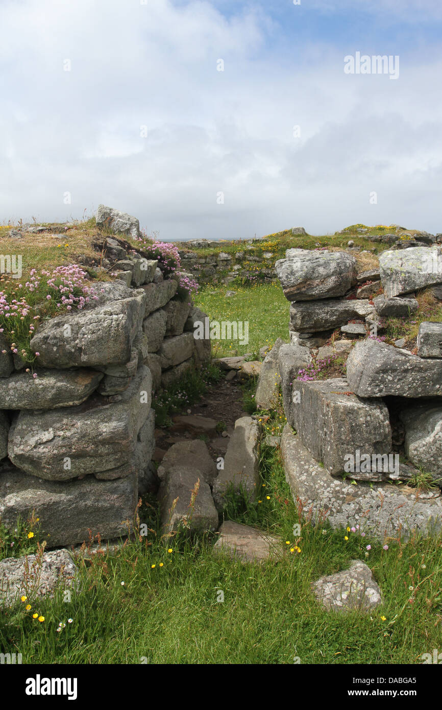 Ruin of Dun More Broch Isle of Tiree Scotland June 2013 Stock Photo - Alamy