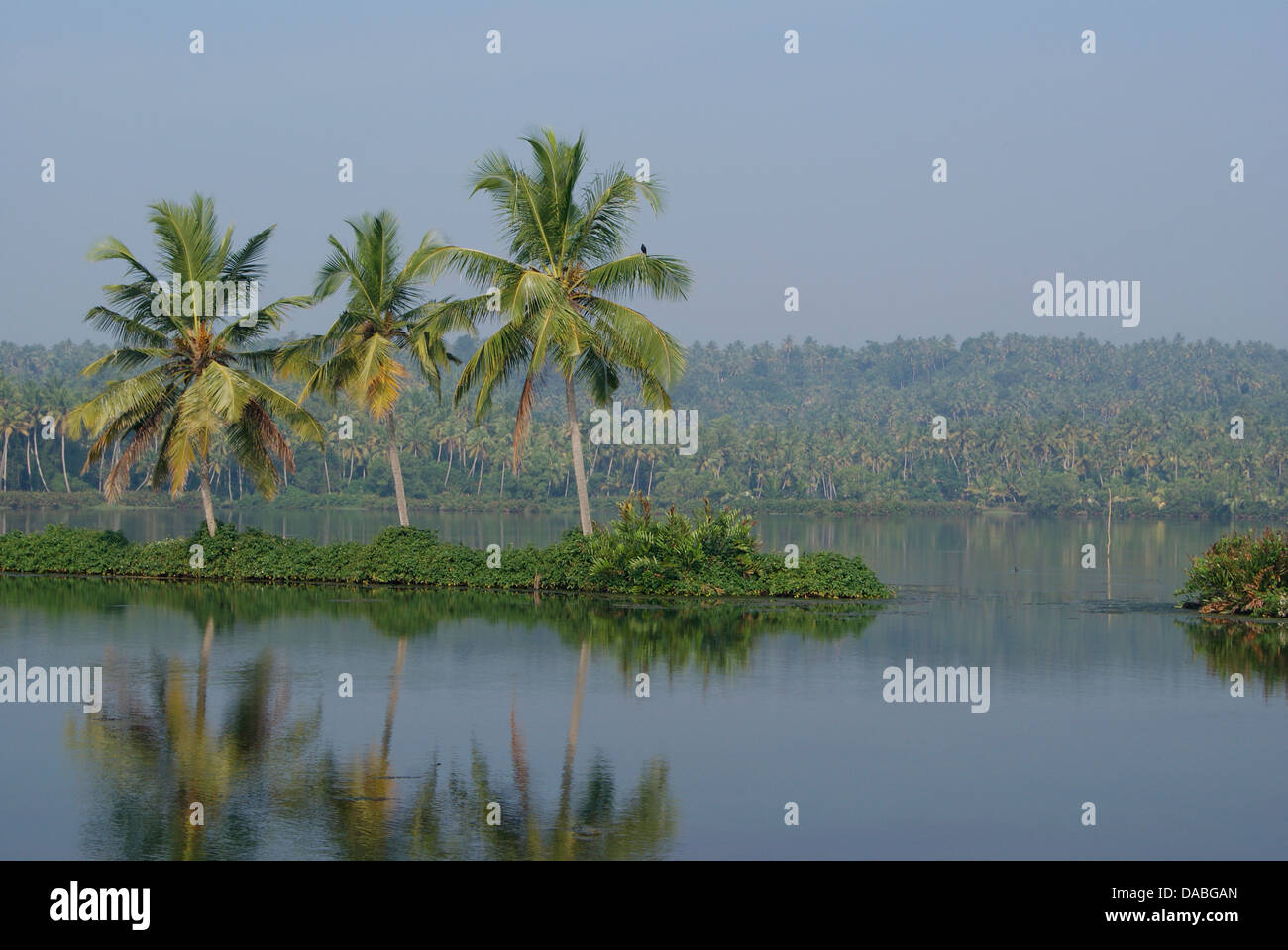 Habitat kerala hi-res stock photography and images - Alamy