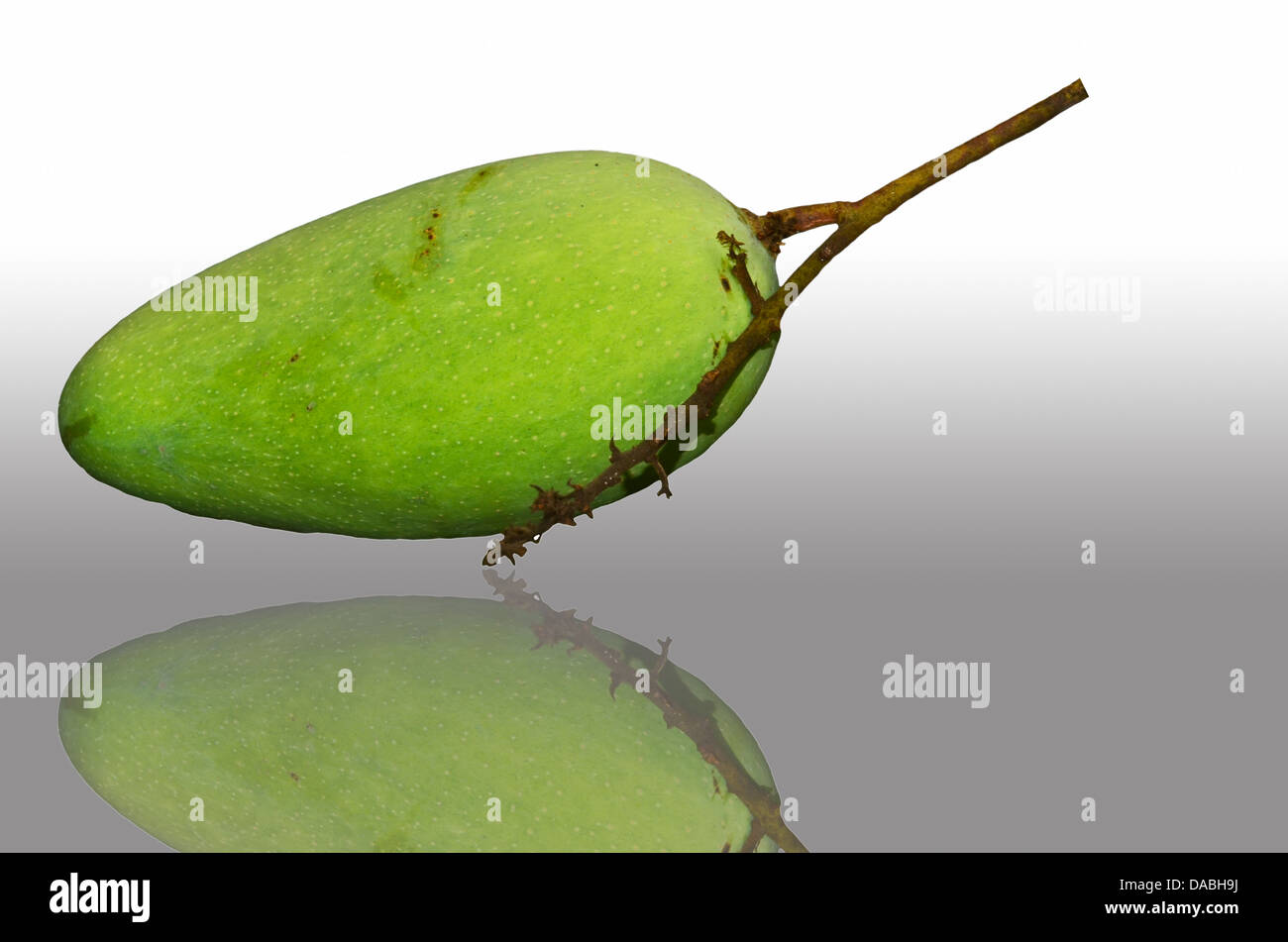 Green mango reflection Stock Photo - Alamy