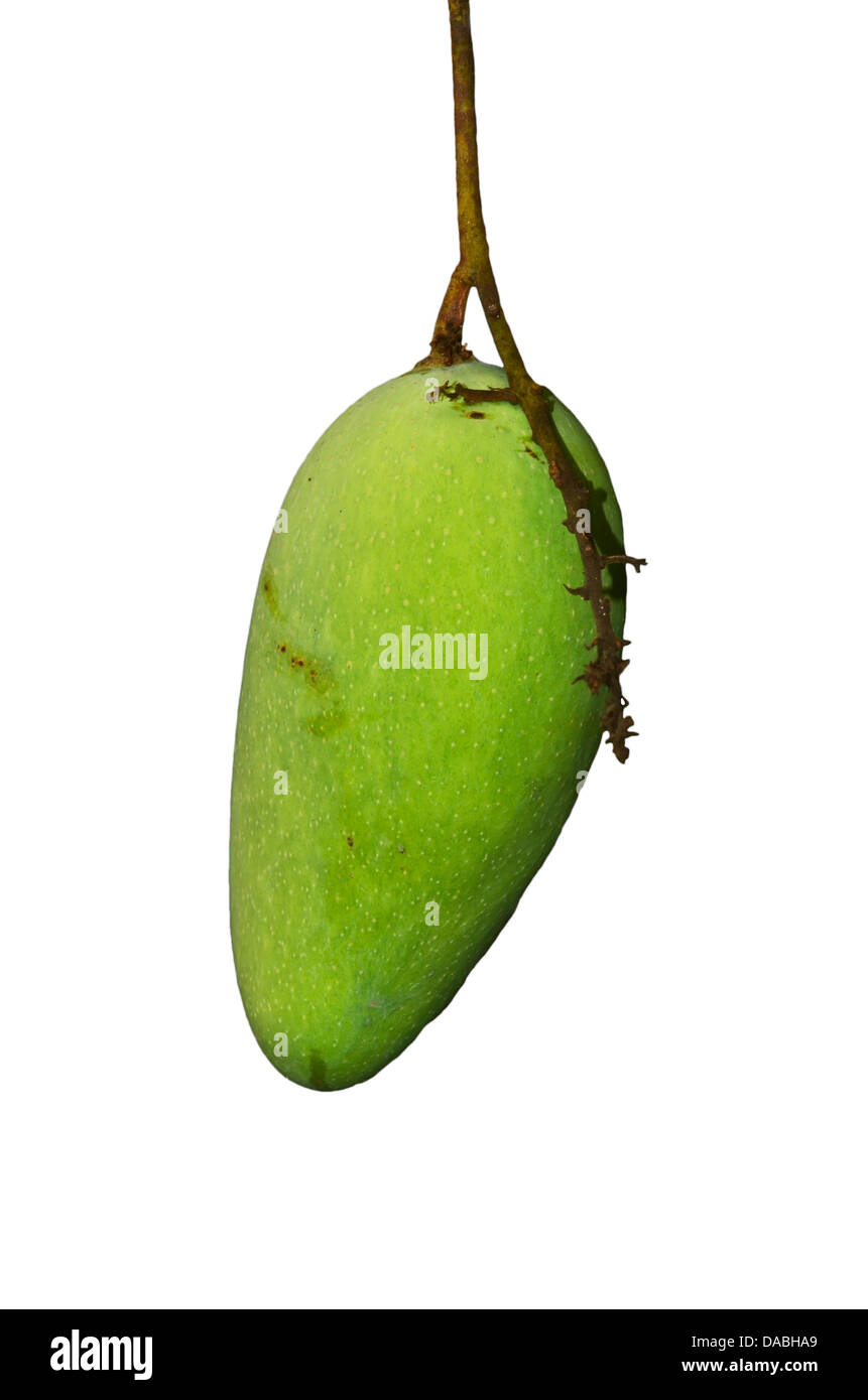 Mango crop hi-res stock photography and images - Alamy