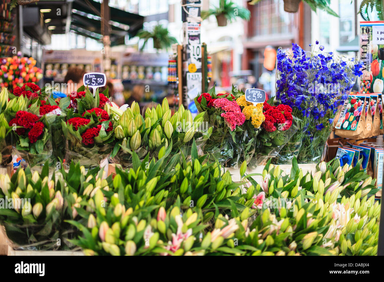 Flowers for sale in the Bloemenmarkt, the floating flower market ...