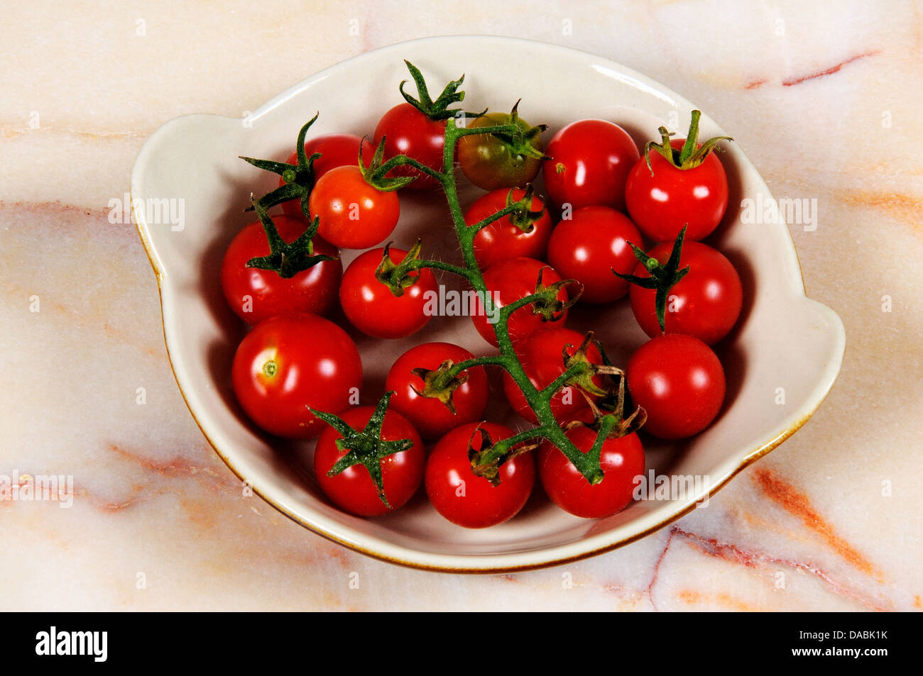Maskotka on vine hi-res stock photography and images - Alamy
