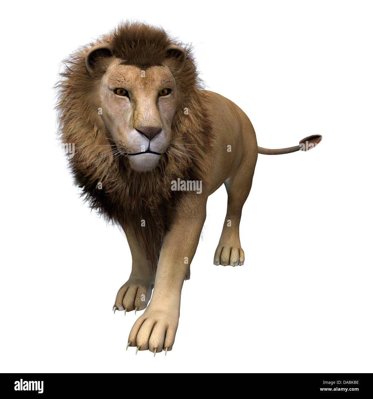3D digital render of a male lion isolated on white background Stock ...