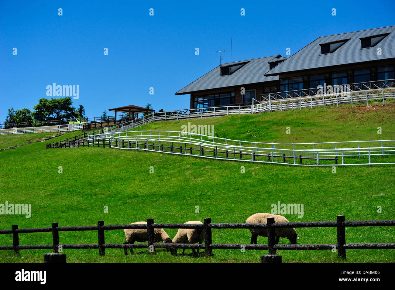 The Makiba Park (dude ranch in Japan Stock Photo - Alamy