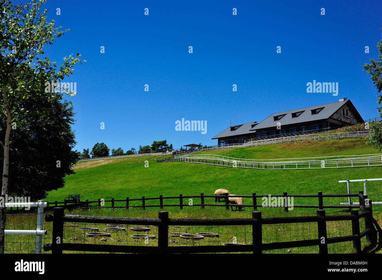 Hokuto japan hi-res stock photography and images - Alamy