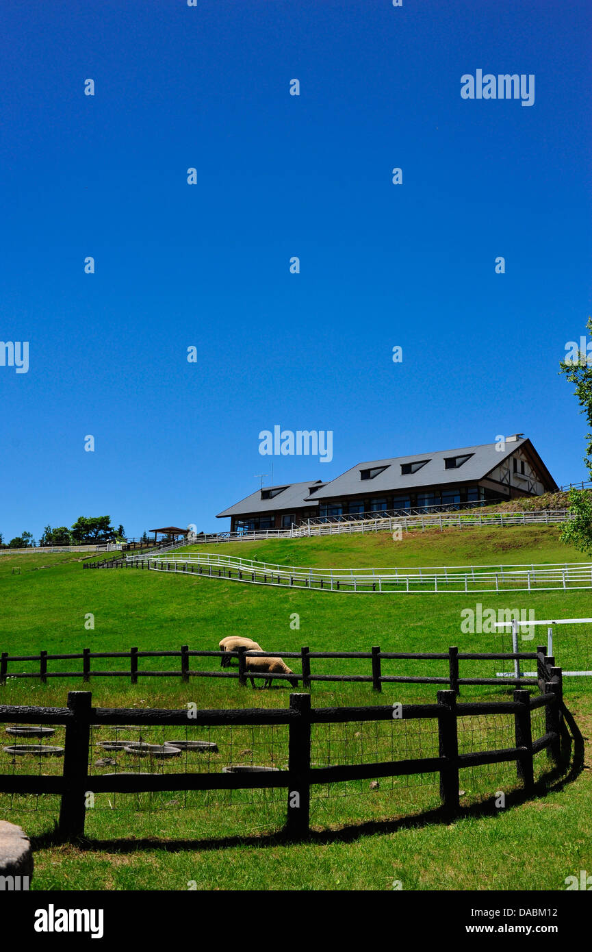 The Makiba Park (Dude Ranch in Japan Stock Photo - Alamy