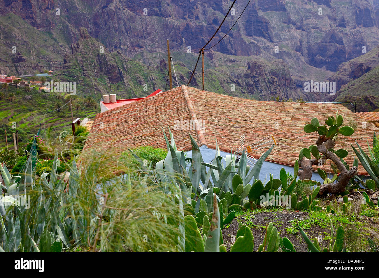 Nature roof hi-res stock photography and images - Alamy
