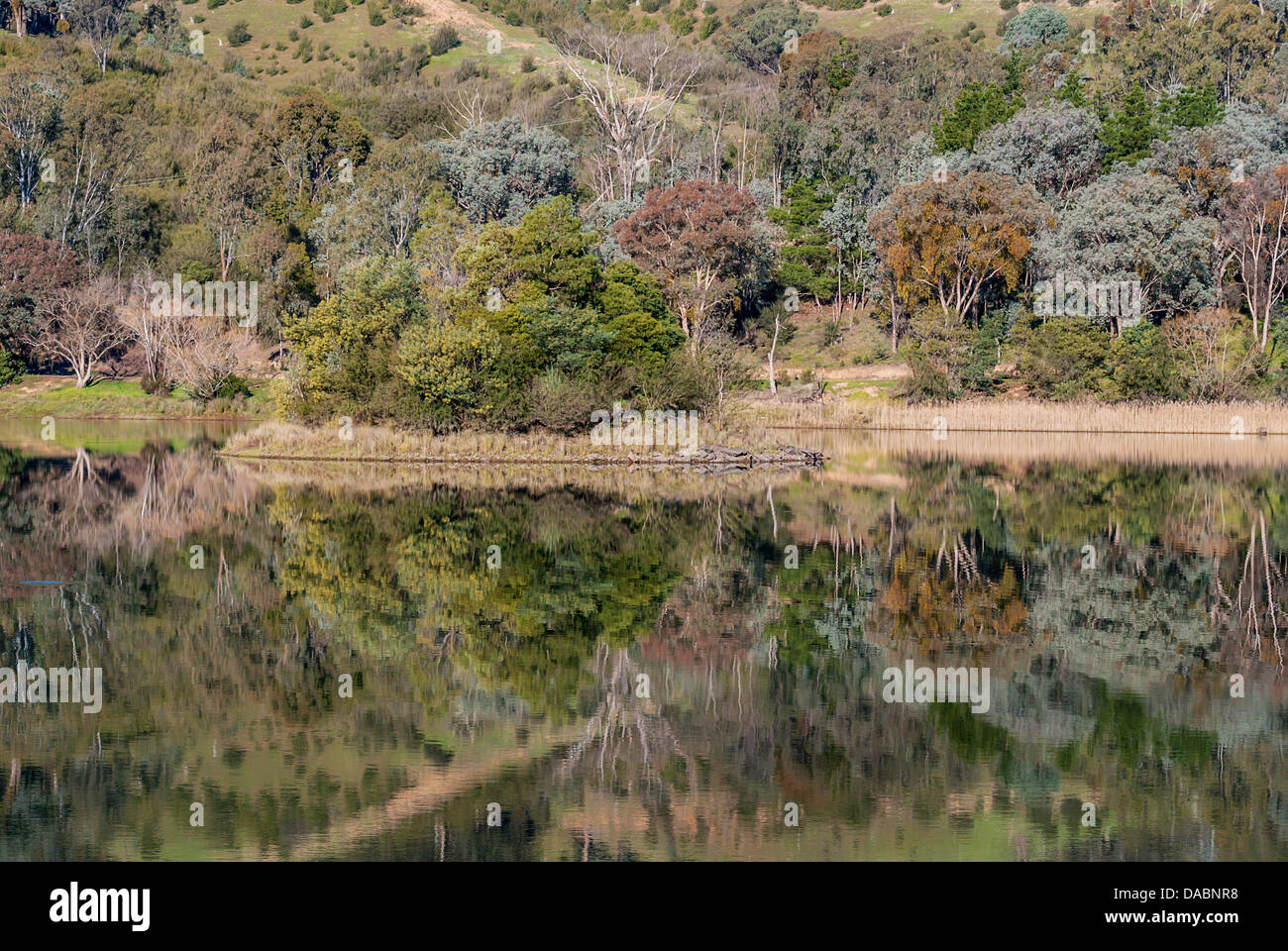 Beautiful serene scenes from Lake Eildon in Victoria's High Country ...