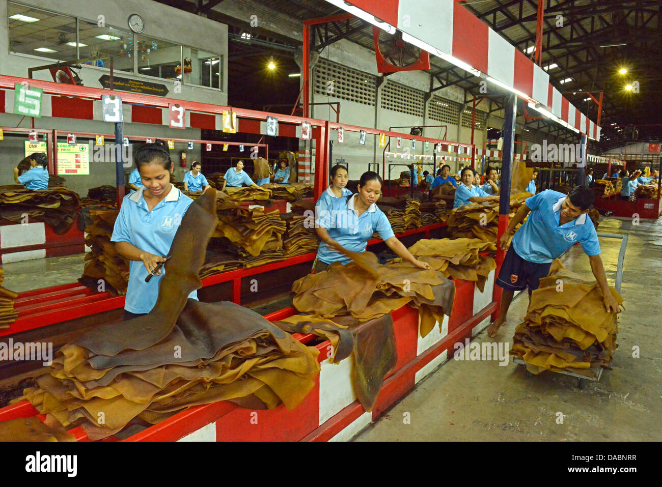 Rubber processing plant, Trang, Thailand, Southeast Asia, Asia Stock ...