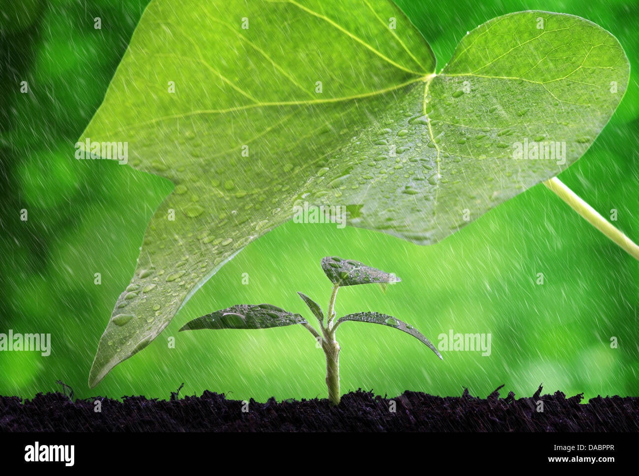 Environment hi-res stock photography and images - Alamy