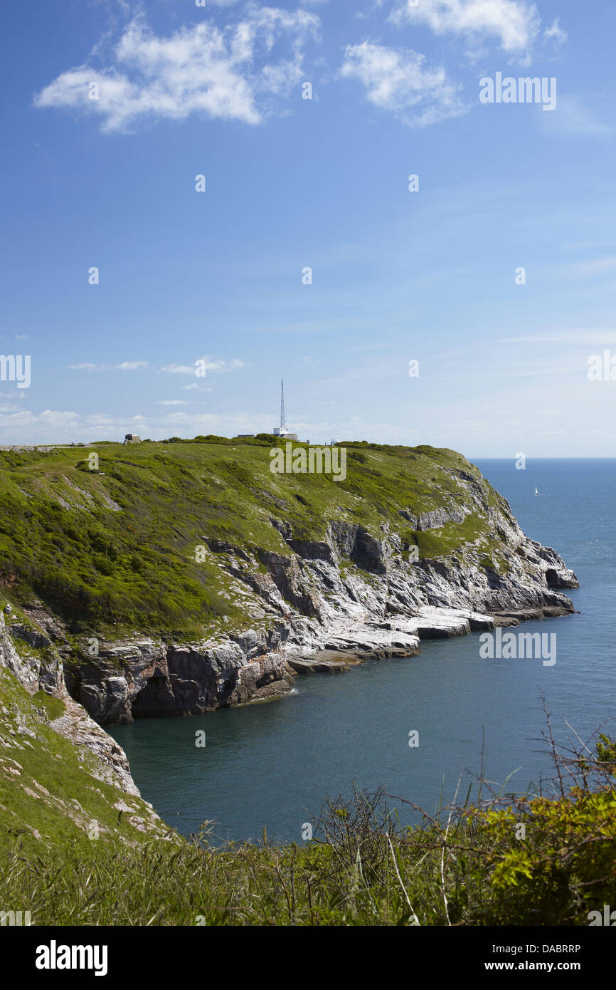 Berry head hi-res stock photography and images - Alamy