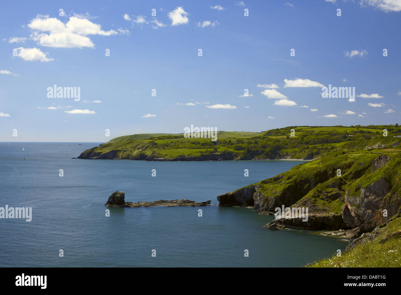 Berry head hi-res stock photography and images - Alamy