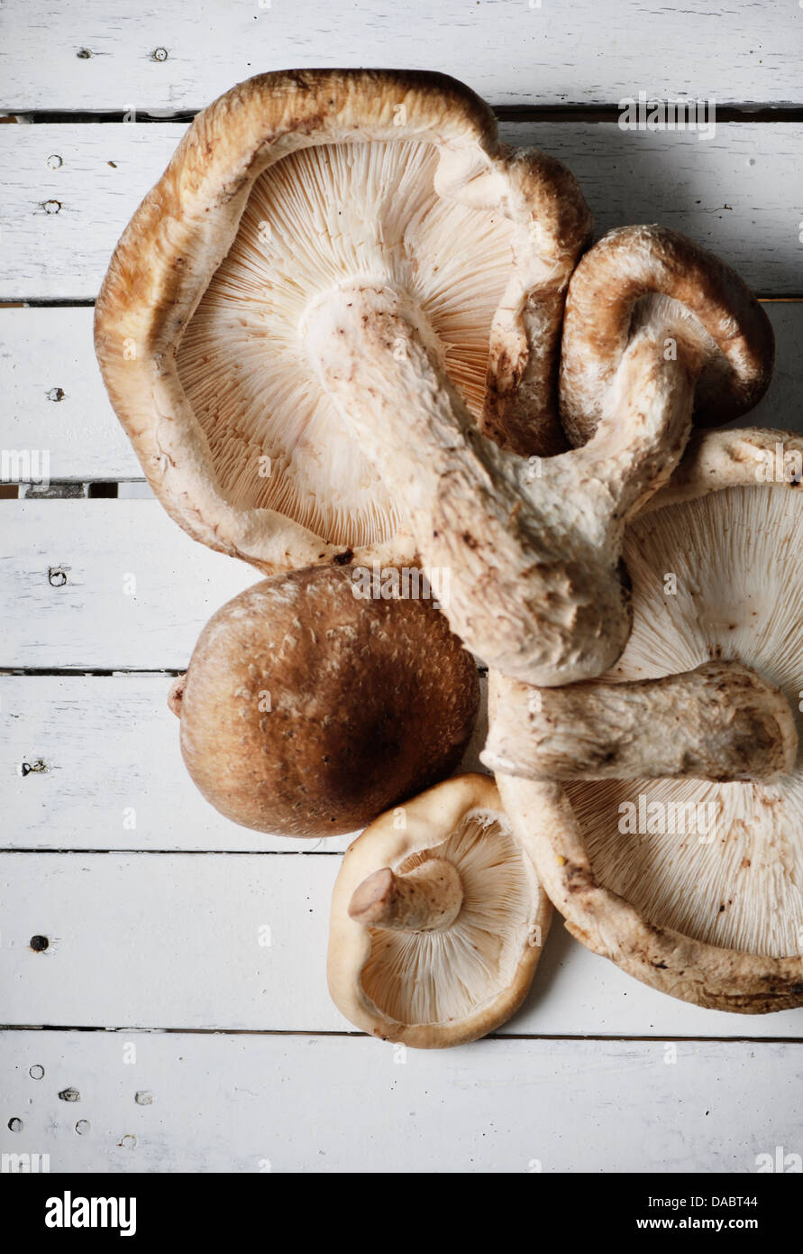 Shitake on rustic wooden table Stock Photo - Alamy