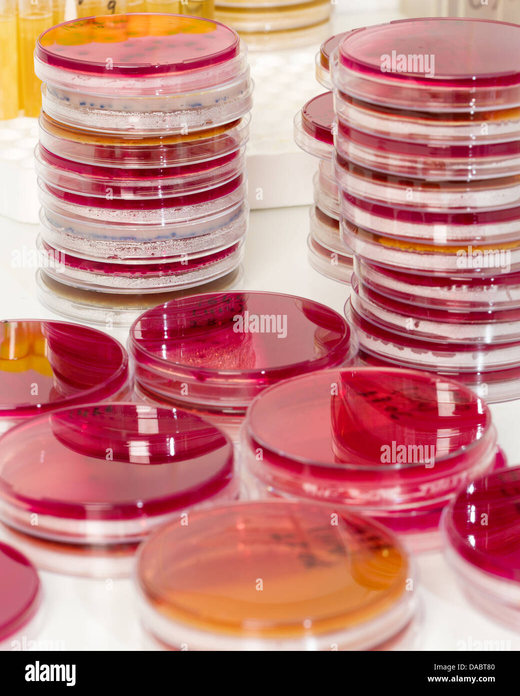 Microbiological analyses hi-res stock photography and images - Alamy
