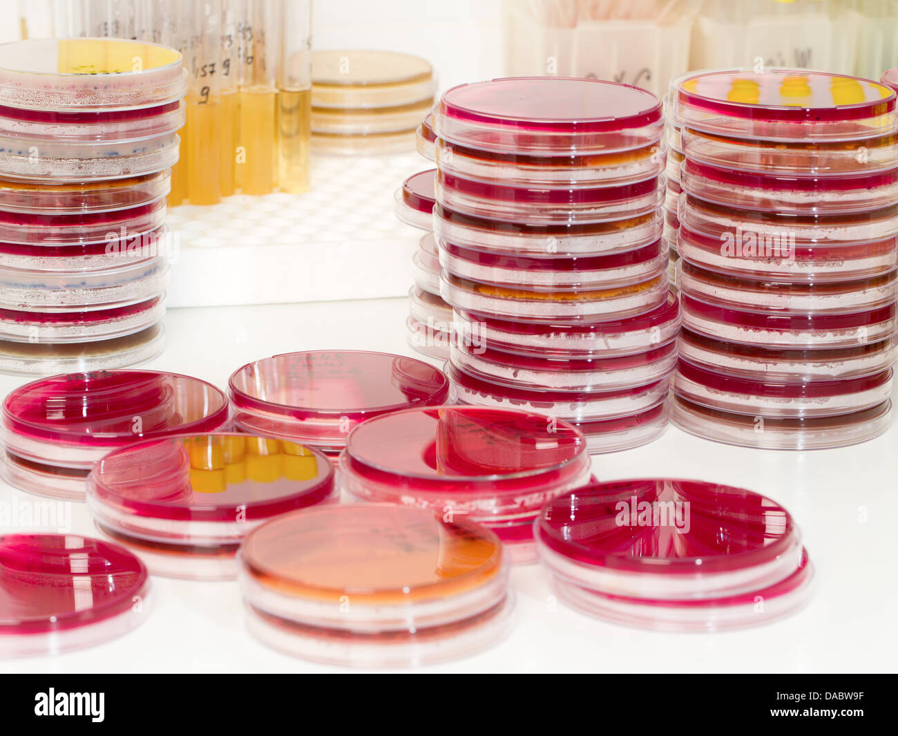 Microbiological laboratory hi-res stock photography and images - Alamy