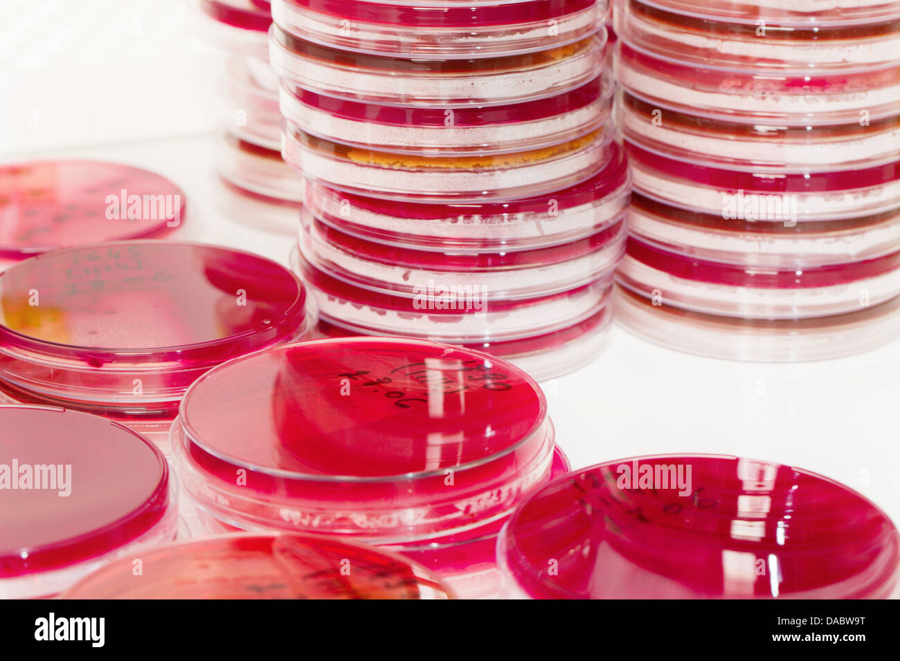 Microbiological laboratory hi-res stock photography and images - Alamy
