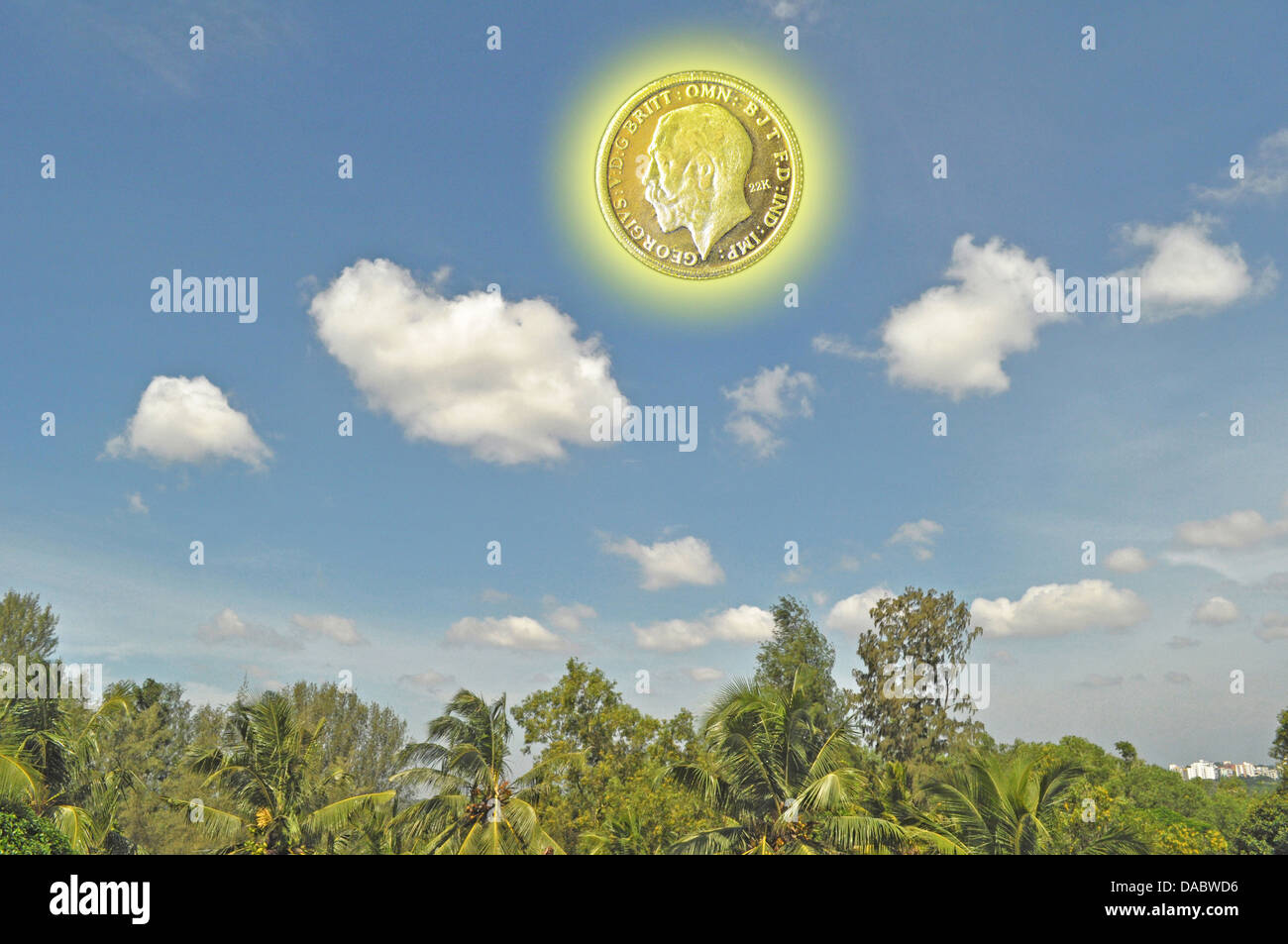 Money trees hi-res stock photography and images - Alamy