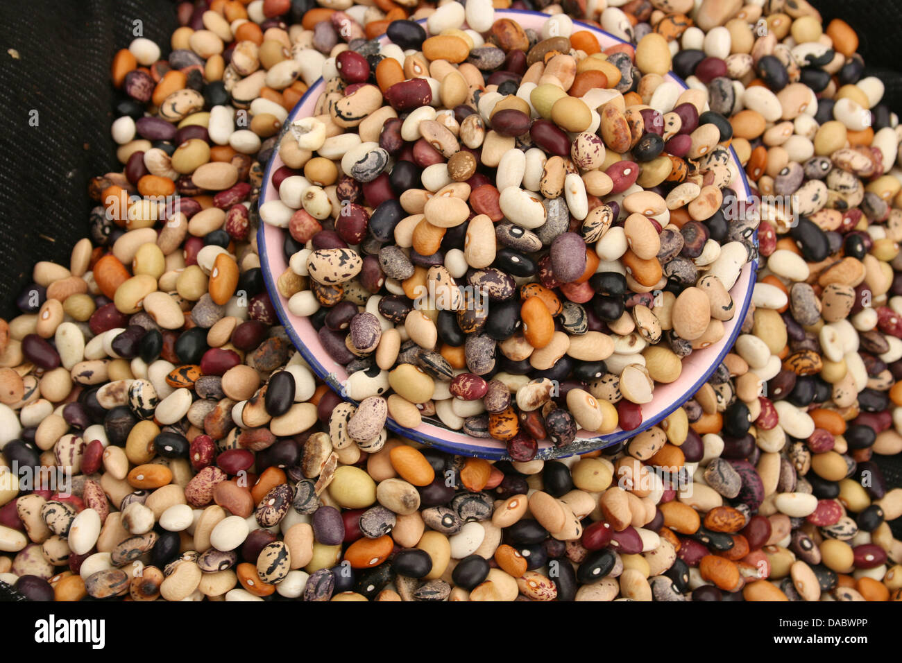 Varieties of beans in many colors for sale at the outdoor food market ...