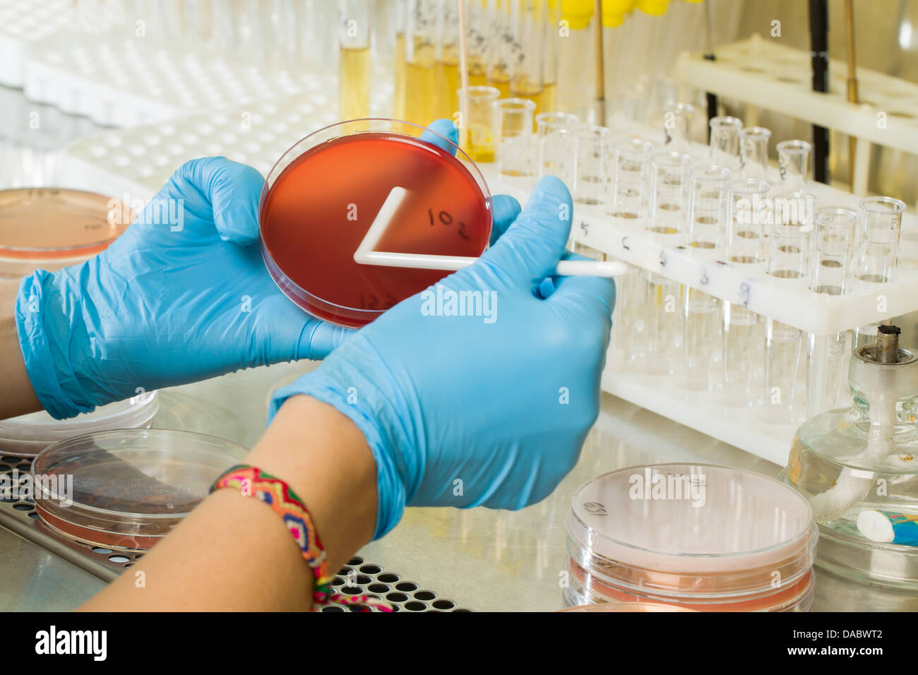 Microbiological analyses hi-res stock photography and images - Alamy