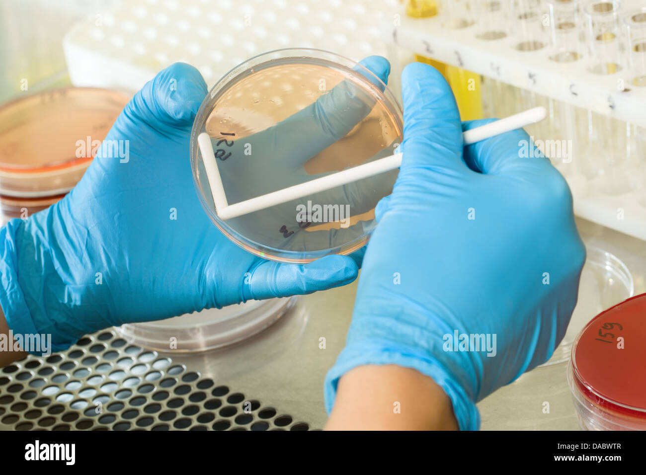 Microbiological analyses hi-res stock photography and images - Alamy