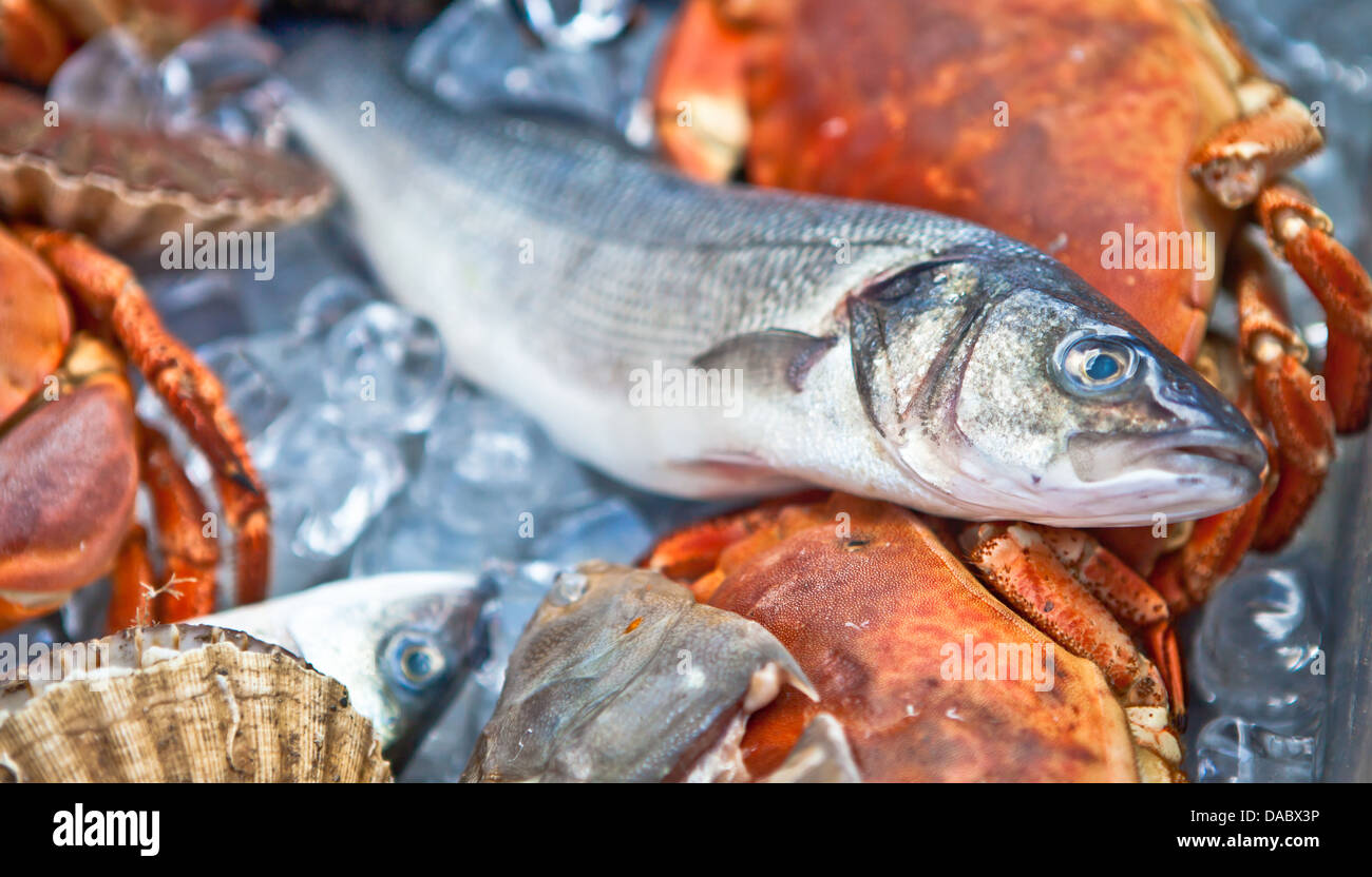 Fresh fish crap seafood hi-res stock photography and images - Alamy