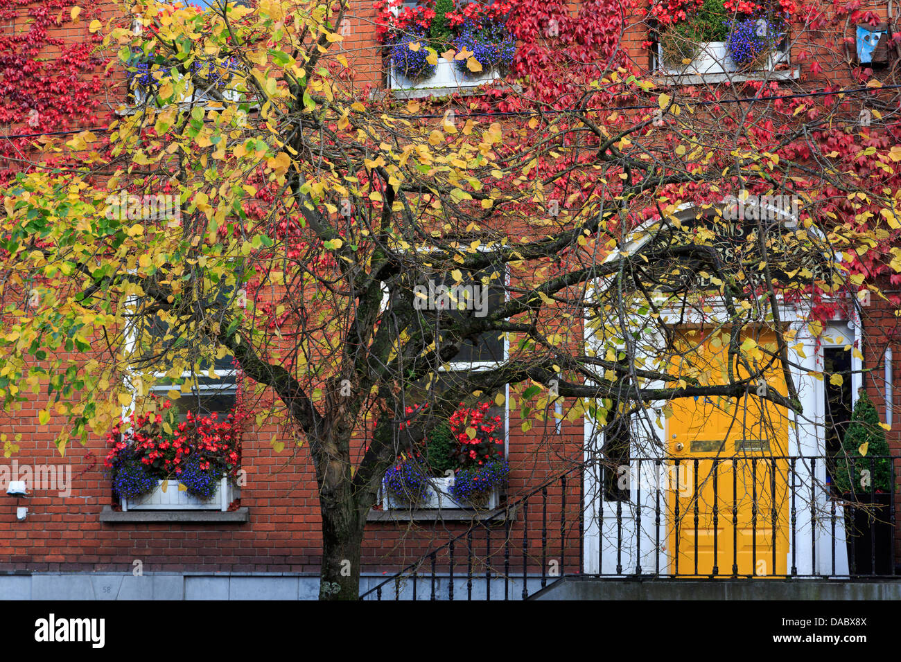 South Mall, Cork City, County Cork, Munster, Republic of Ireland ...