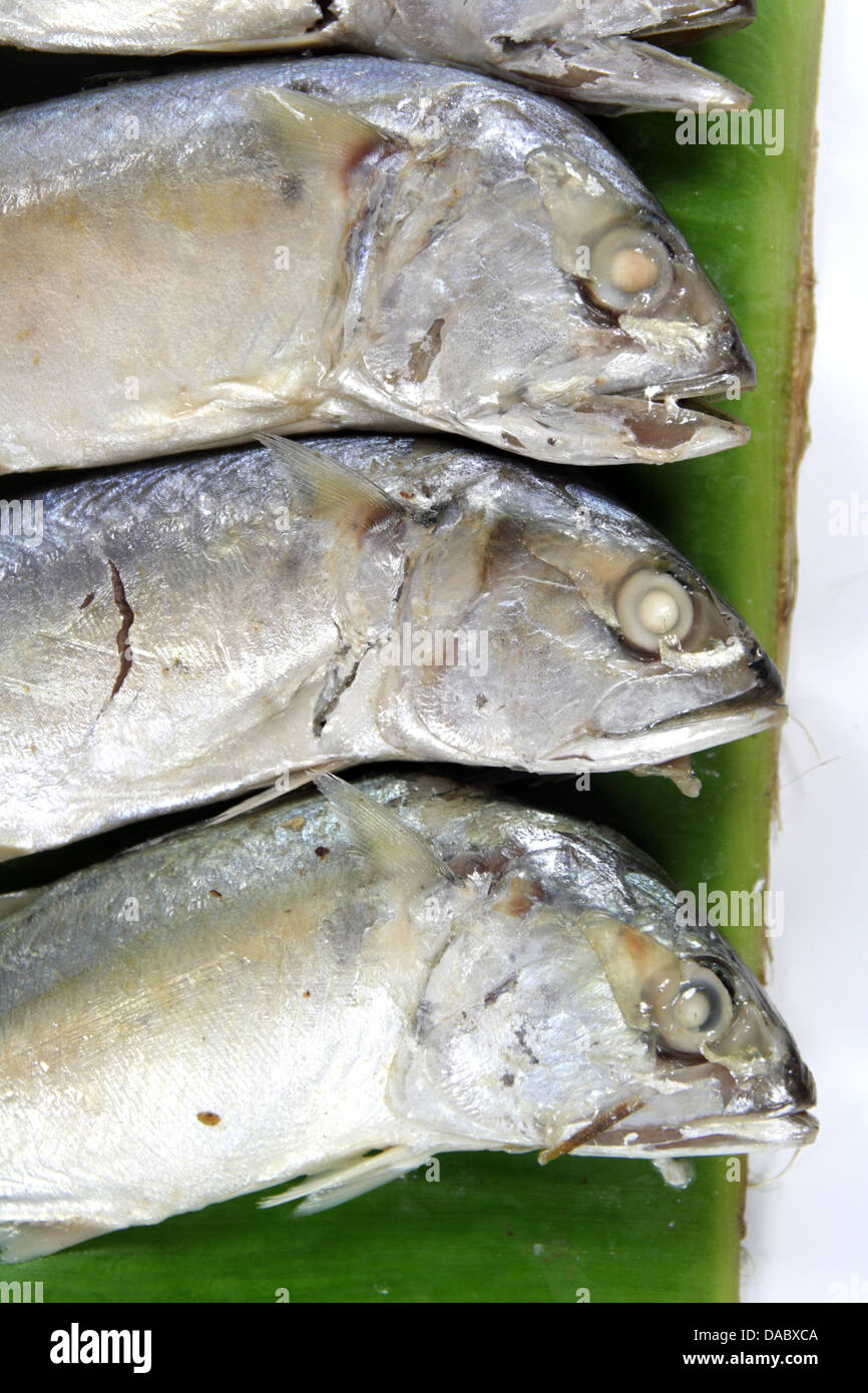 Pla Tuu , Thai mackerel fish Stock Photo - Alamy