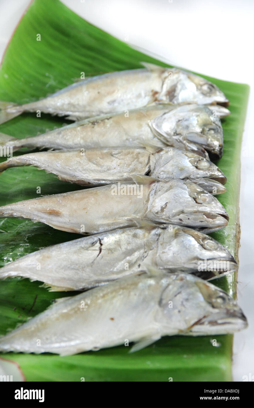 Pla Tuu , Thai mackerel fish Stock Photo - Alamy