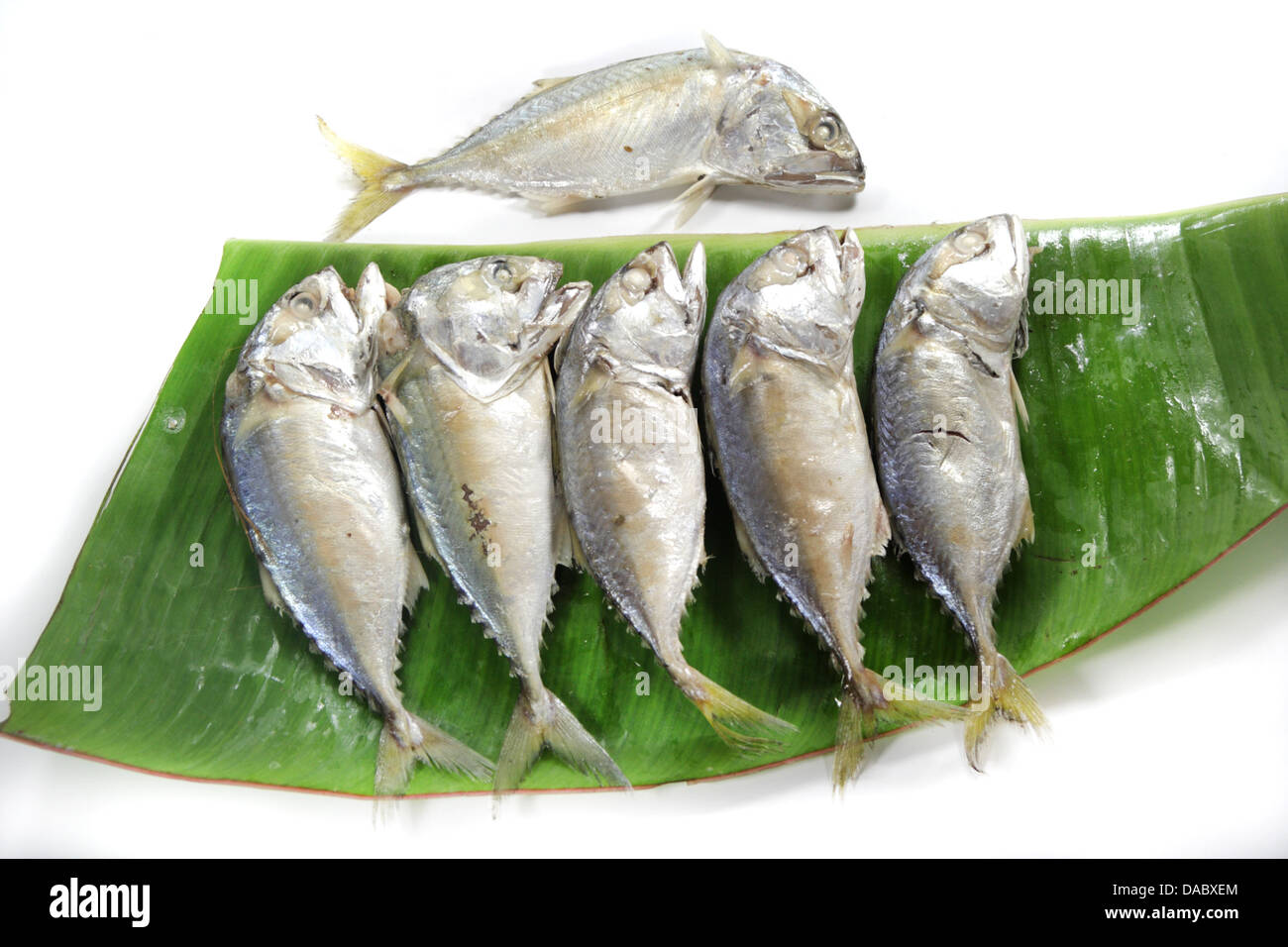 Pla Tuu , Thai mackerel fish Stock Photo - Alamy