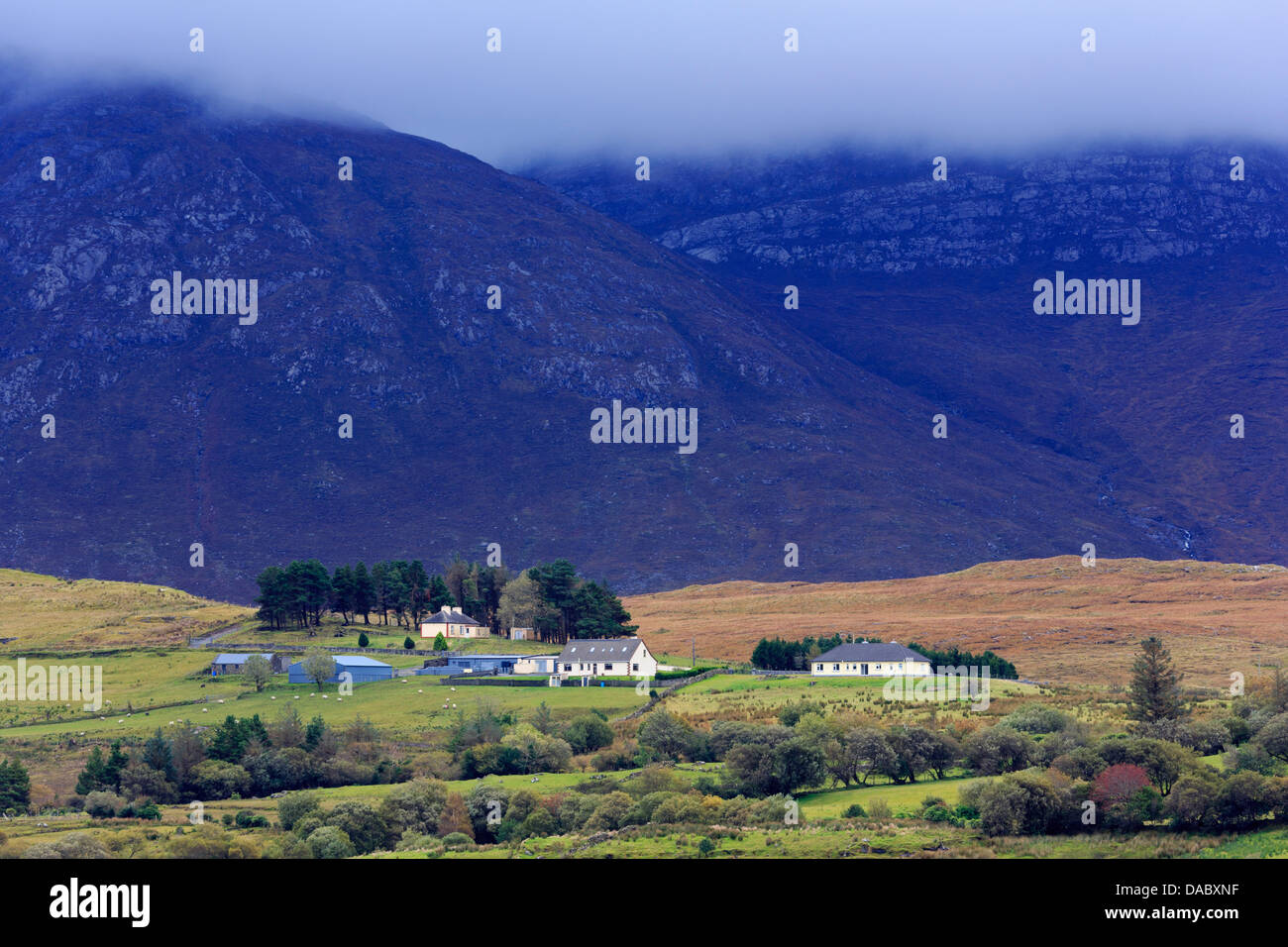 Mountains and rural landscape, Leenane, County Mayo, Connaught ...