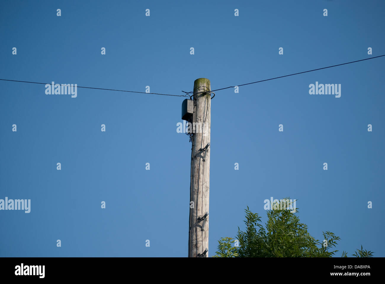 telegraph pole in black and white, with two power lines coming from it ...