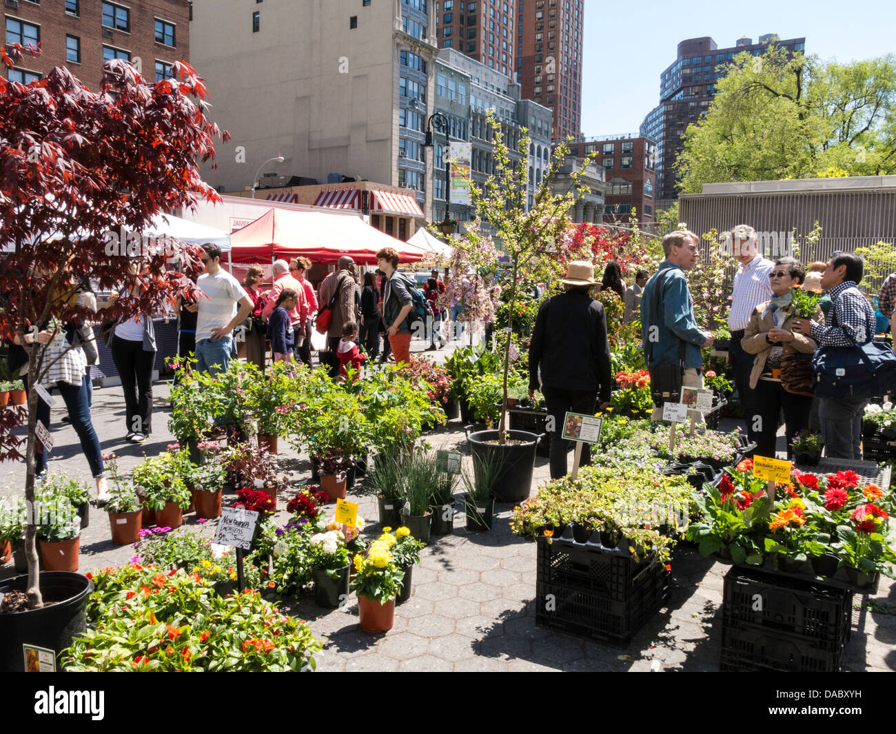 Union square farmers green market greenmarket hi-res stock photography ...