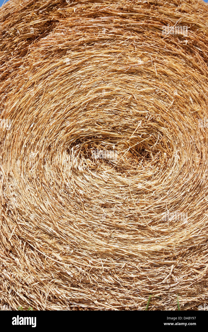 Straw bale texture hi-res stock photography and images - Alamy