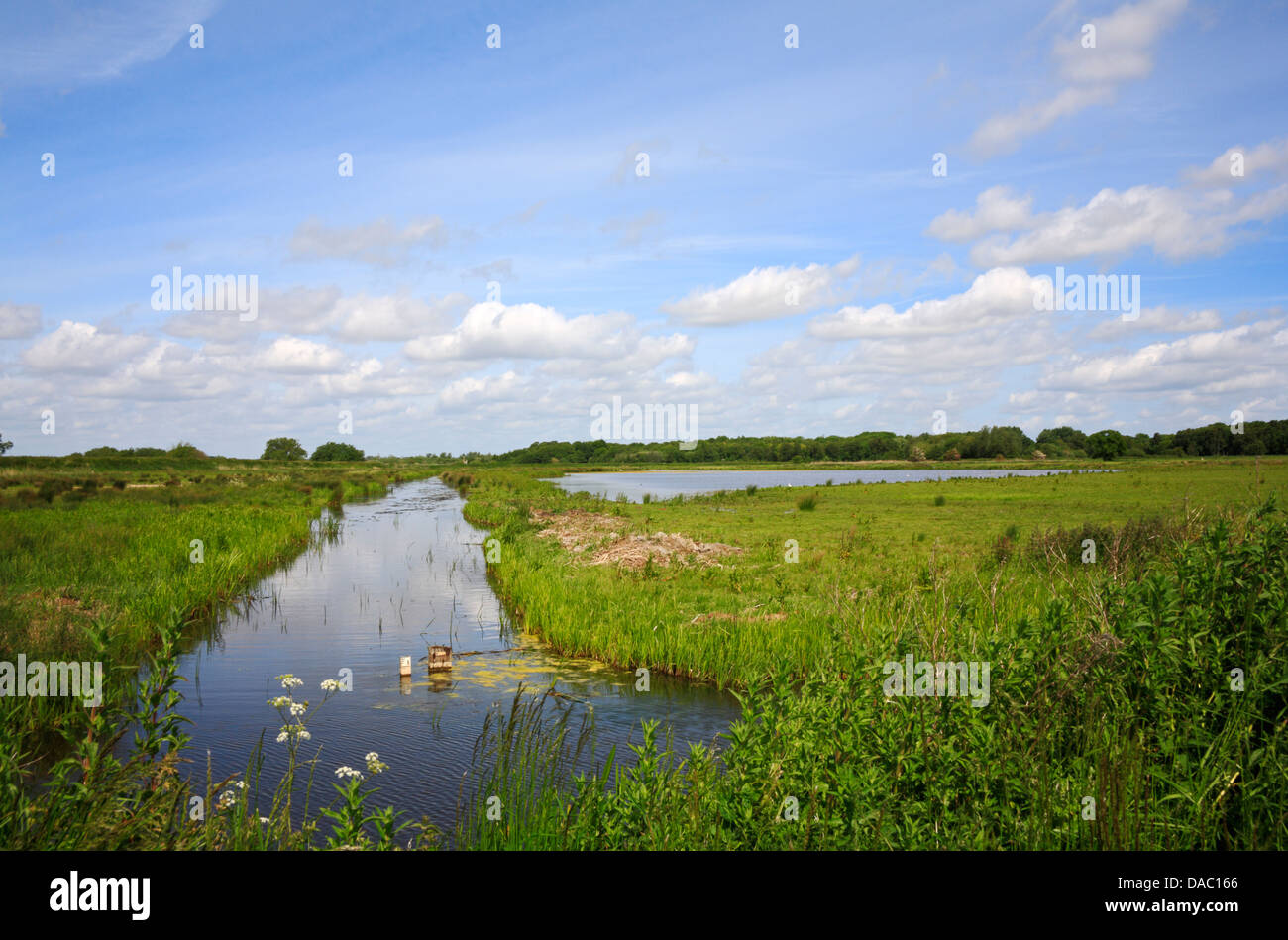 Mid yare national nature reserve hi-res stock photography and images ...