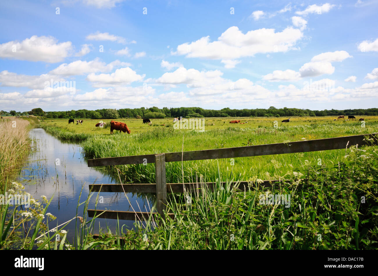 Pastoral Scene Stock Photos & Pastoral Scene Stock Images - Alamy